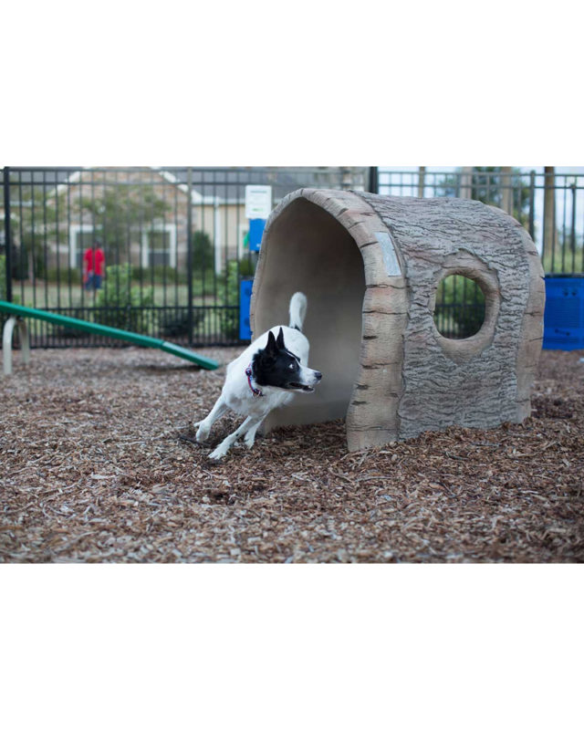Nature Bark Log Tunnel - Dog Park Equipment - Park Warehouse