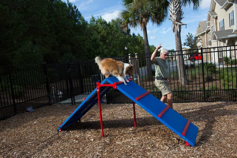 Expert Agility Dog Park Kit - BarkPark - ParkWarehouse.com