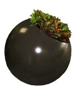 Large Sphere Shaped Commercial Planters - Park Warehouse