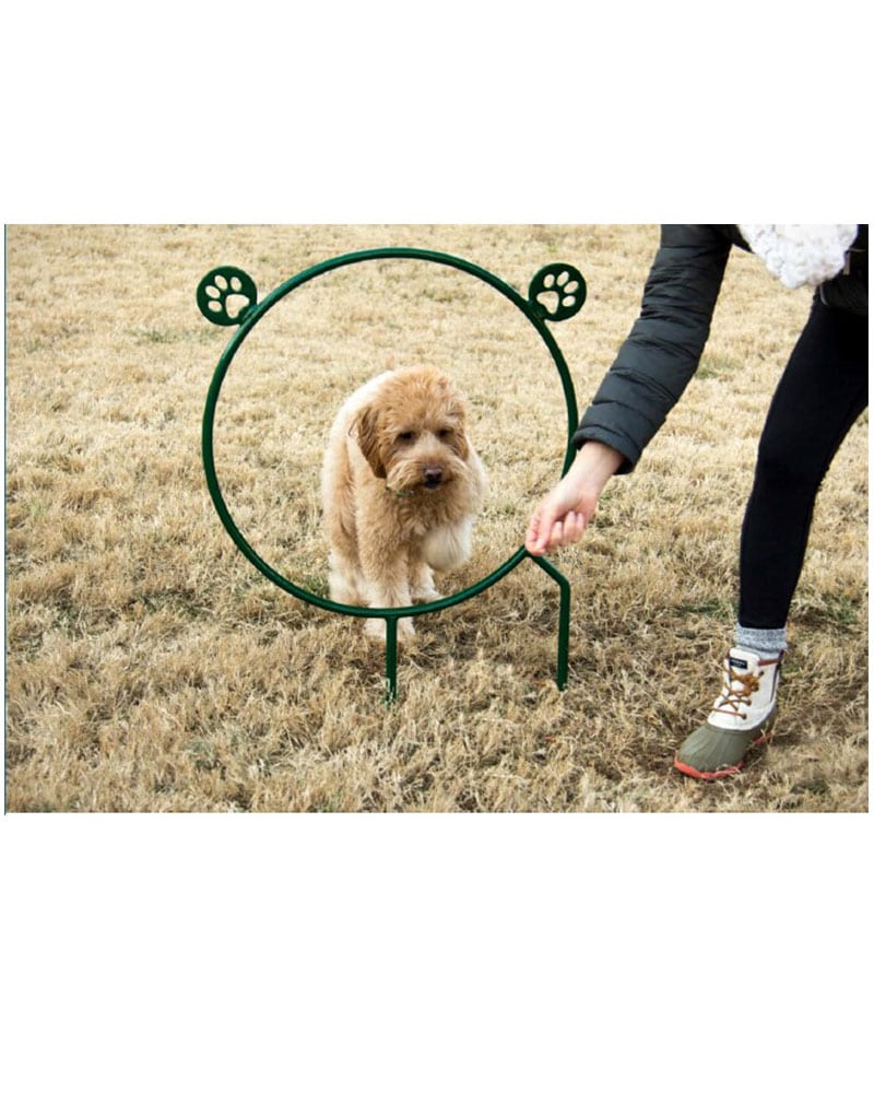 Mini Hoop Jump - BarkPark - Dog Park Equipment - Park Warehouse