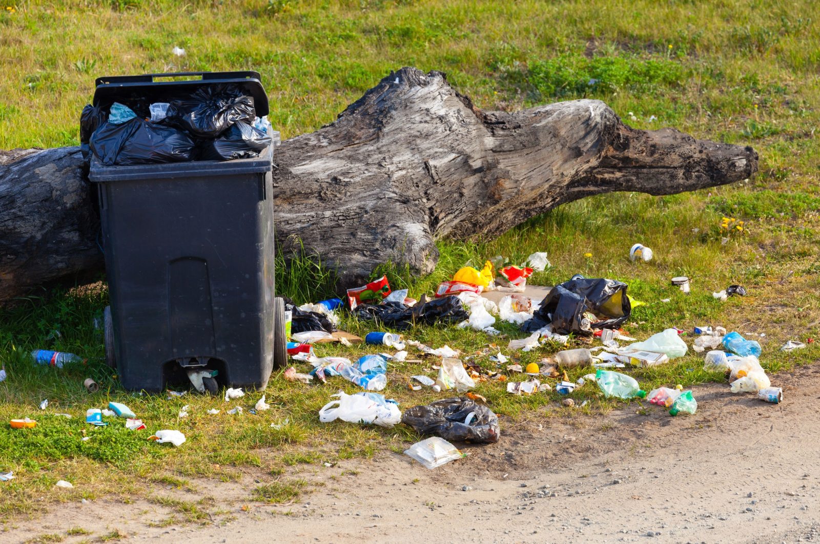 How the Federal Government Shutdown Is Affecting America's Parks on a ...