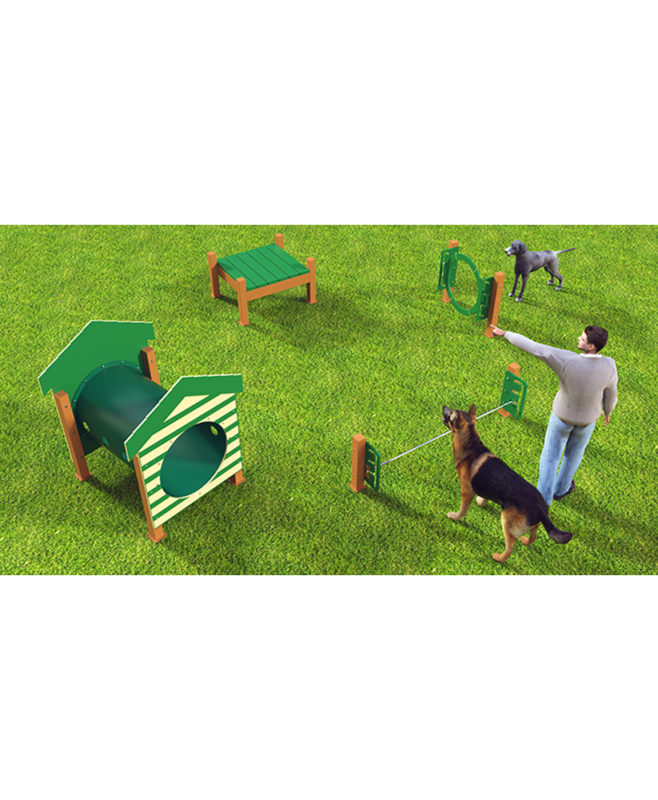Novice - Recyled Plastic - Dog Park Agility Course Kit - Park Warehouse